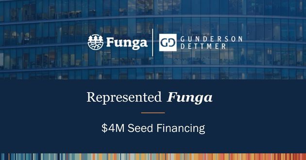 Emma Anderson | Gunderson Dettmer Stough Villeneuve Franklin ...